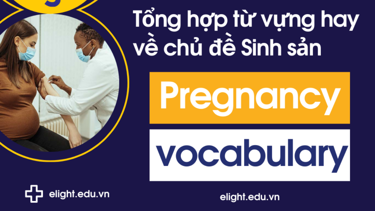 Thai Sản Tiếng Anh Là Gì? Ý Nghĩa, Ví Dụ Câu & Cách Dùng Chuẩn
