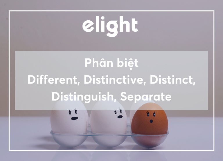 Phân biệt: Different, Distinctive, Distinct, Distinguish và Separate