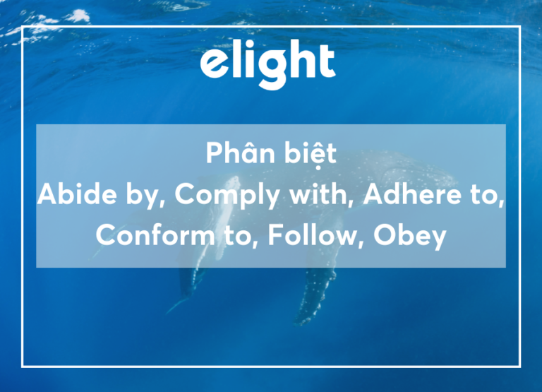 Phân biệt Abide by, Comply with, Adhere to, Conform to, Follow và Obey